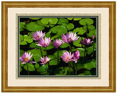 How to Measure your Print