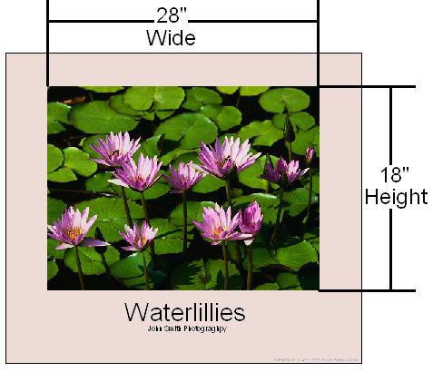 How to Measure your Print